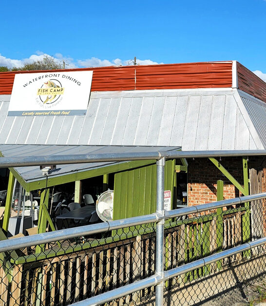 florida crab cakes spot ftr