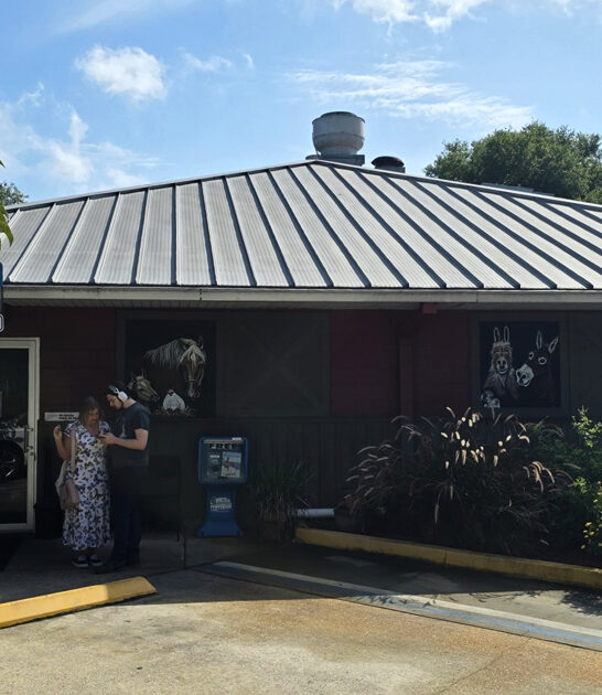 florida delicious country diner ftr