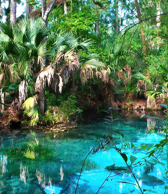 florida dreamy blue spring ftr