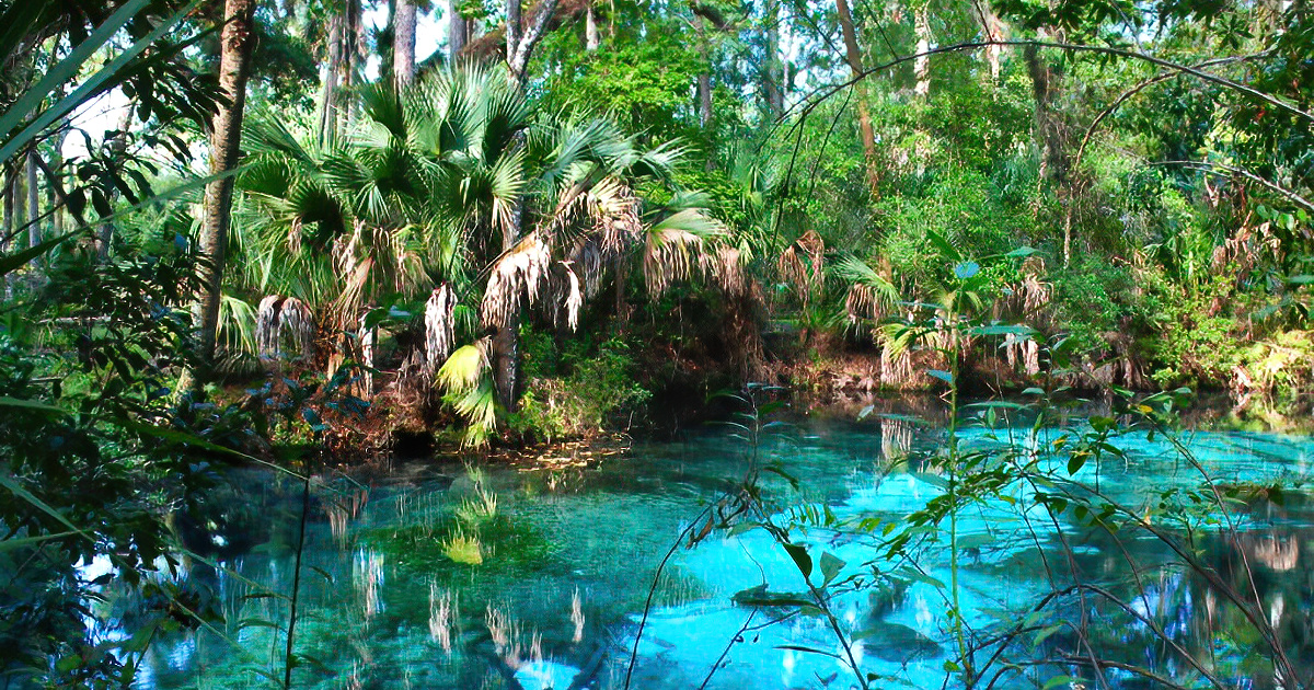 The Dreamy Crystal Blue Spring In Florida You Thought Only Existed In ...