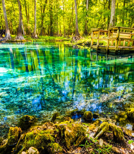 florida dreamy secret park ftr