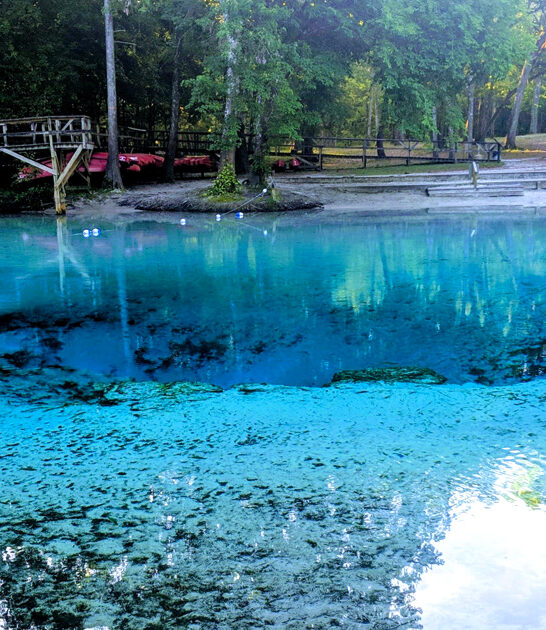 florida enchanting state park ftr