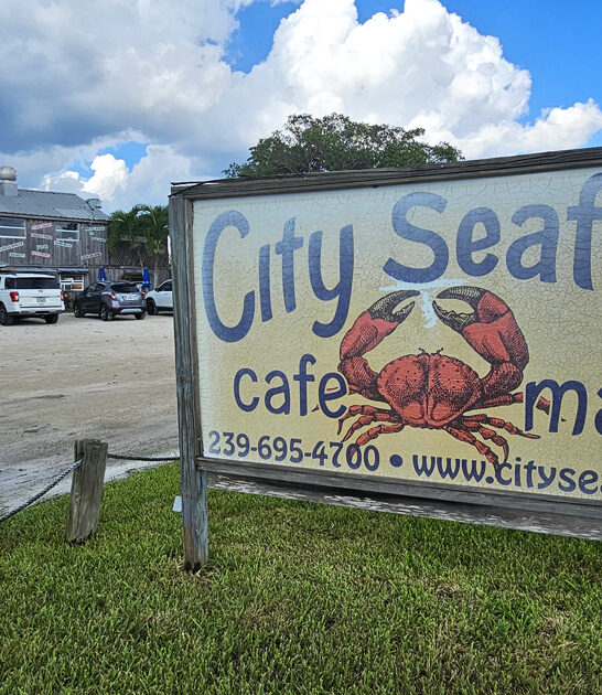 florida excellent conch fritters ftr