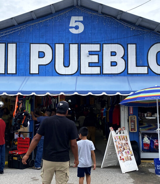 florida flea market store ftr