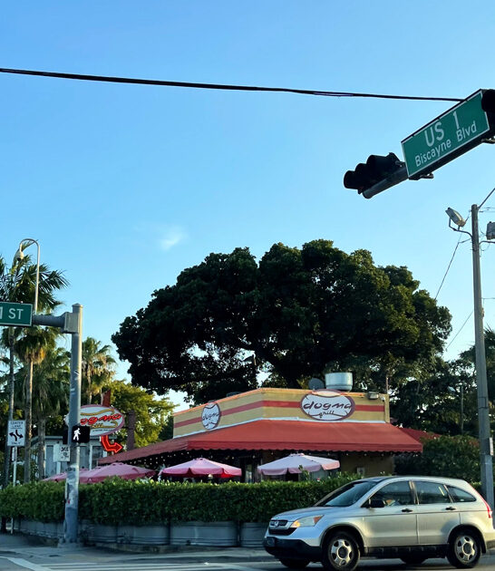 florida good garlic fries ftr