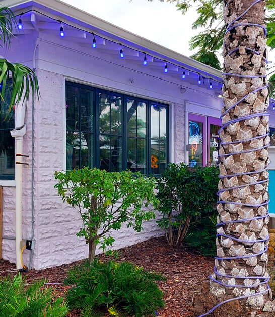 florida ice cream delectable ftr