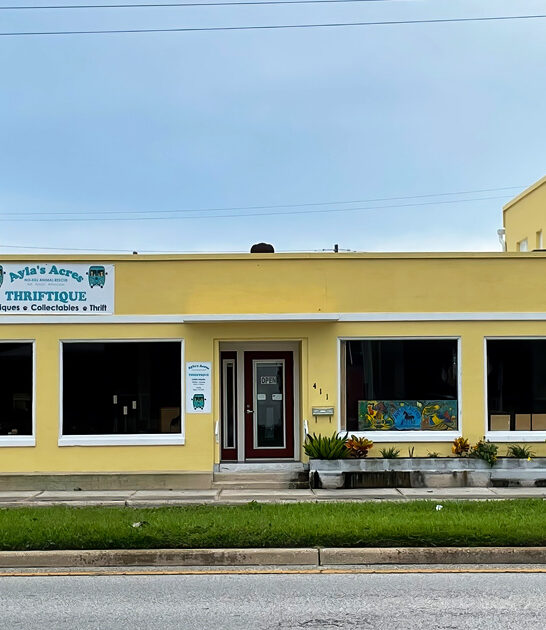 florida long way store ftr