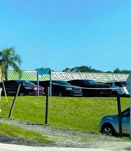 florida market flea gigantic ftr