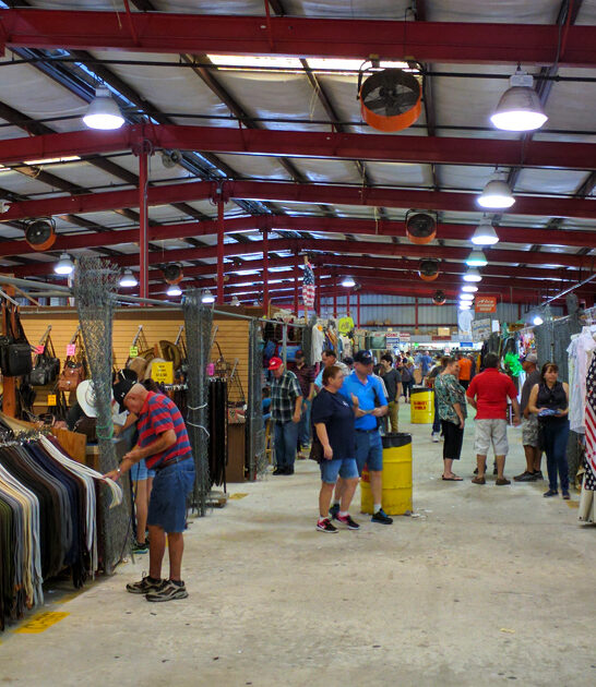 florida market shopping experience ftr