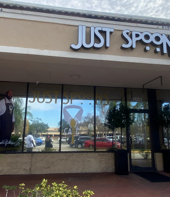 florida mouth watering catfish ftr