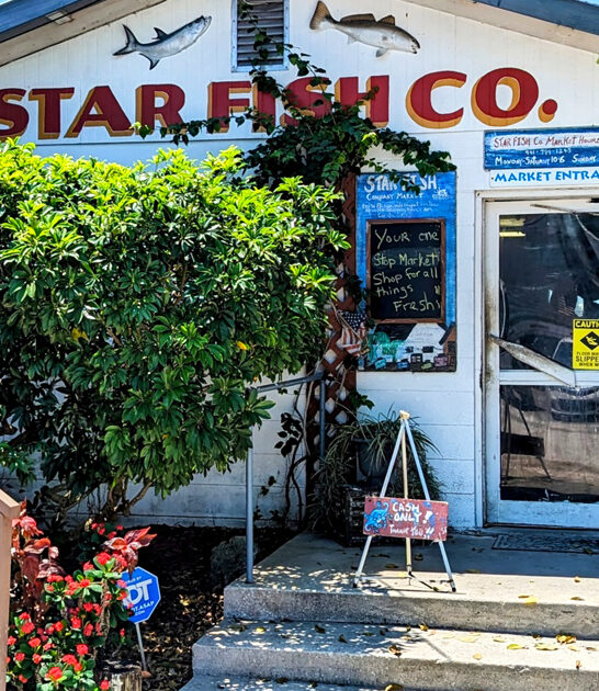 florida restaurant fresh seafood ftr