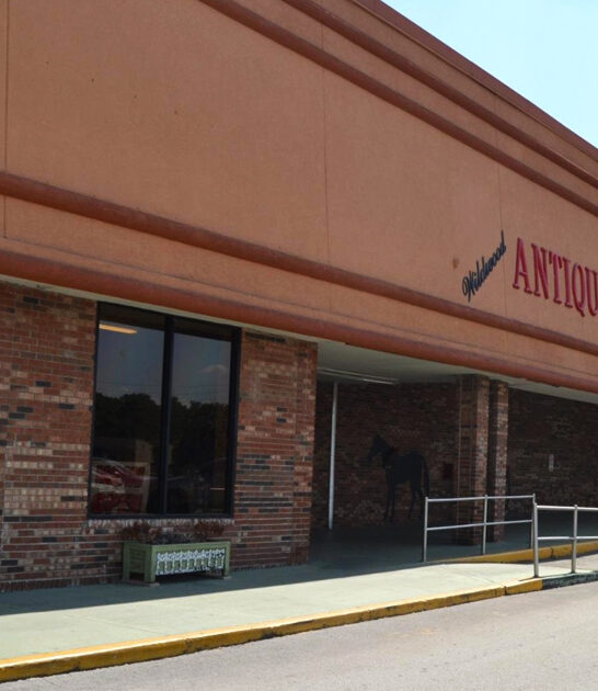 florida retro store finds ftr