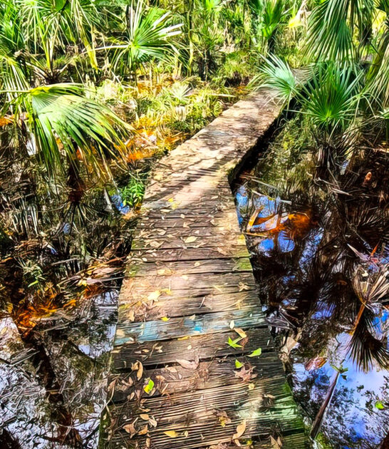 florida scenic park amazing ftr