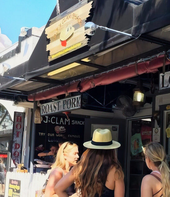 florida seafood clam dreams ftr