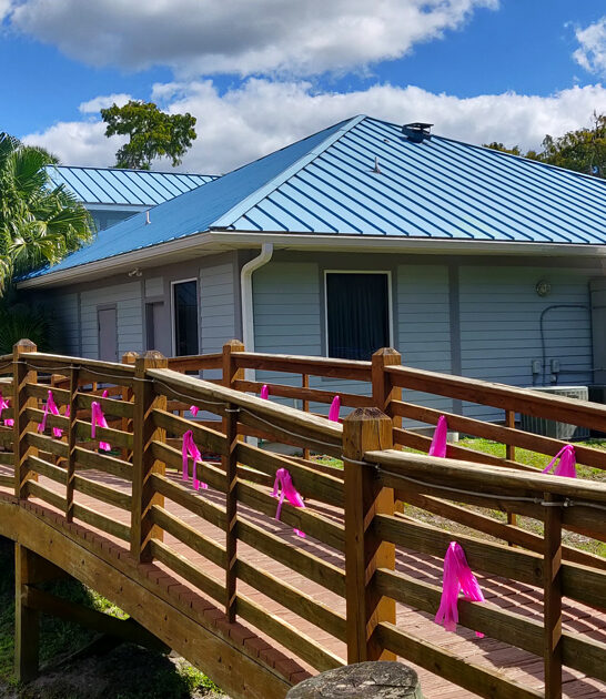 florida seafood dream escape ftr