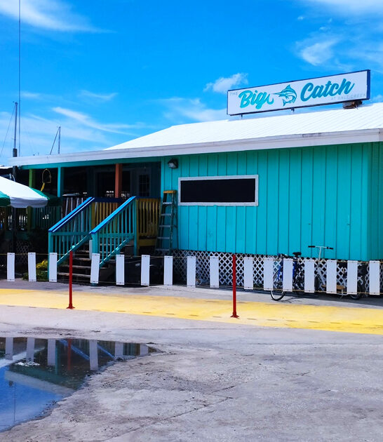 florida seafood mahi sandwich ftr