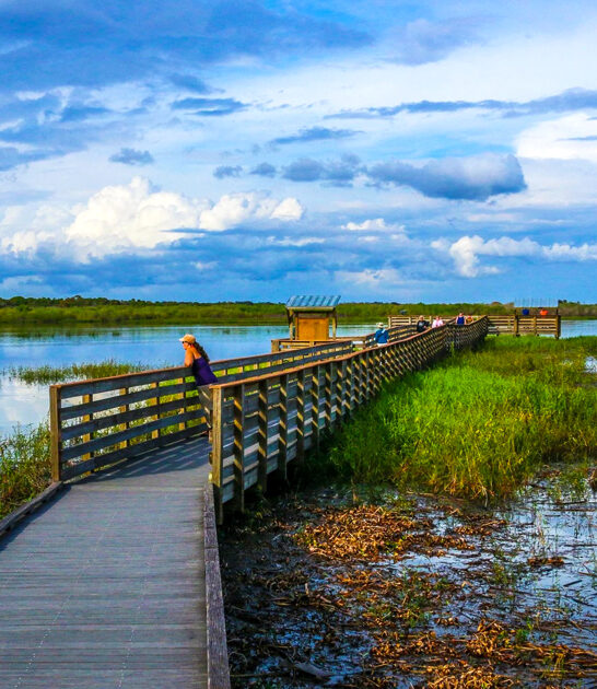 florida serene park gem ftr