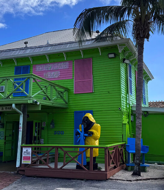 florida southwest tacos diner ftr