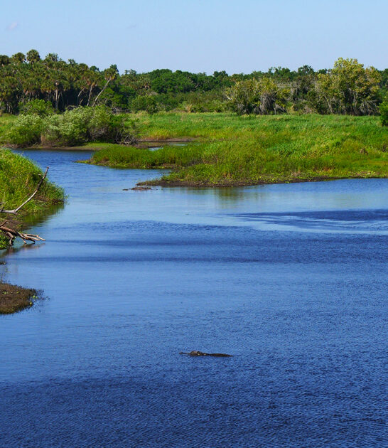florida stunning park find ftr