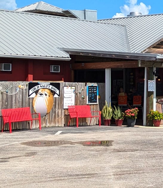 florida tasty chicken sandwich ftr