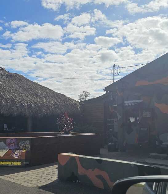 florida tavern chicken wings ftr