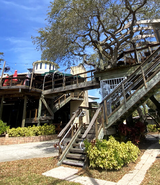 florida treehouse coconut shrimp ftr