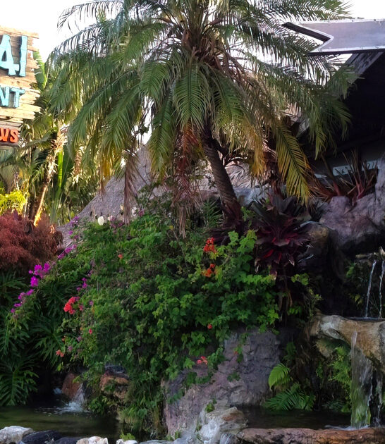 florida wacky restaurant favorite ftr