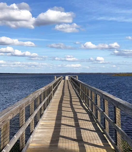 florida wilderness park exploration ftr