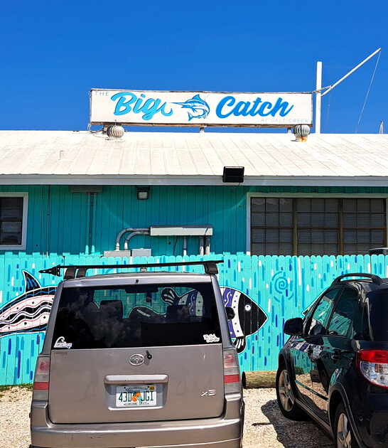 florida worthy grouper nuggets ftr