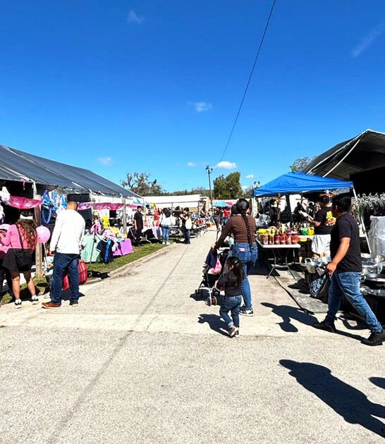 florida worthy market finds ftr