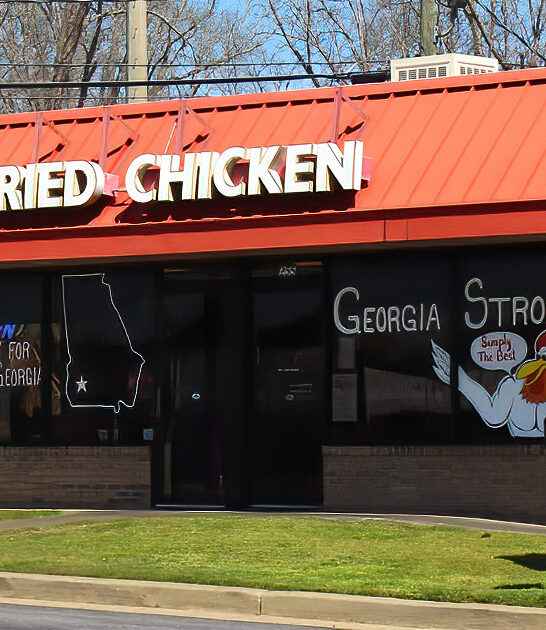fried chicken delicious georgia ftr