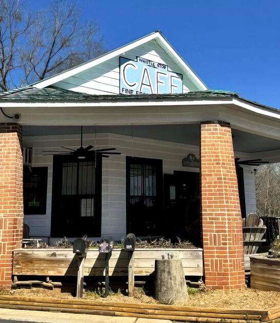 fried green tomatoes georgia ftr