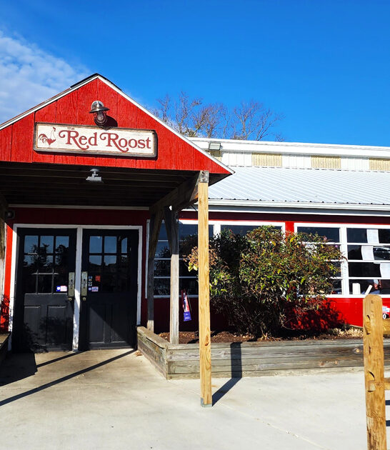 fried maryland chicken ftr