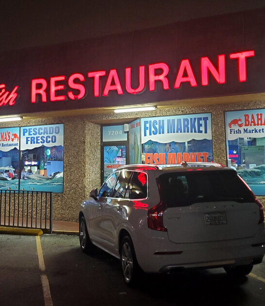 fried red snapper florida ftr