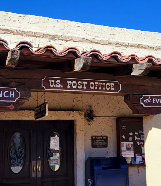 fried steak arizona ftr