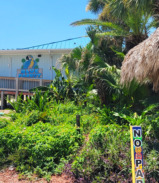 frills tiki florida tacos ftr