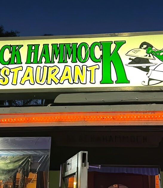 funky gator bites florida ftr