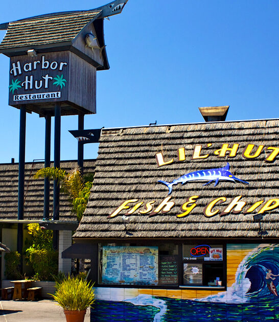 funky oysters spot california ftr