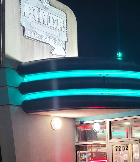 georgia cheese steak diner ftr