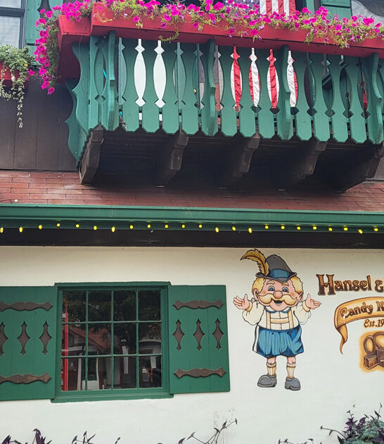 georgia chocolate shop truffle ftr