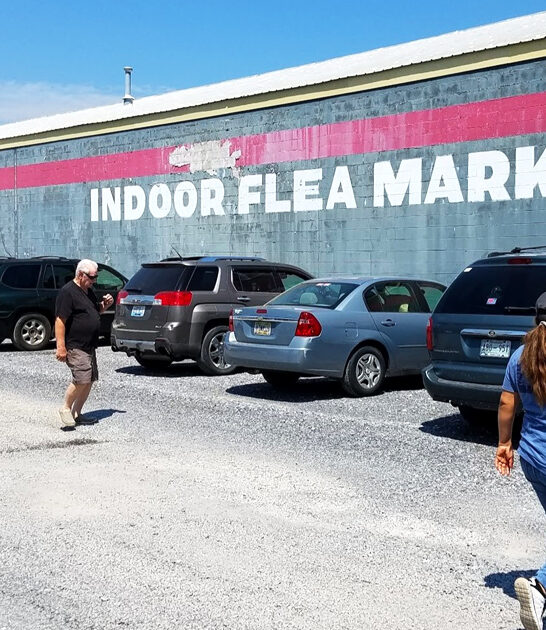 georgia flea priceless treasures ftr