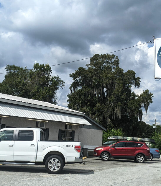 georgia fried shrimp ftr
