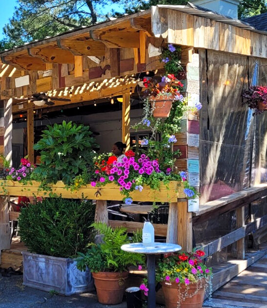 georgia locals salmon restaurant ftr