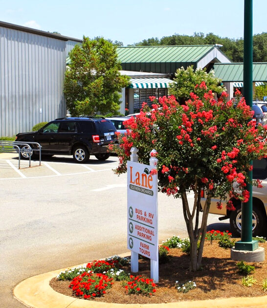 georgia timeless country store ftr