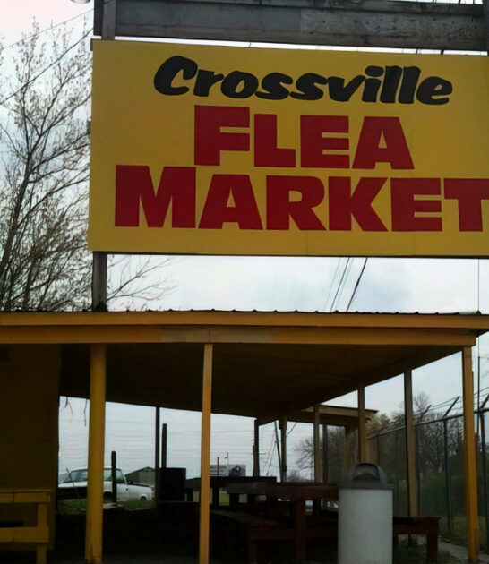 giant flea bargain tennessee ftr