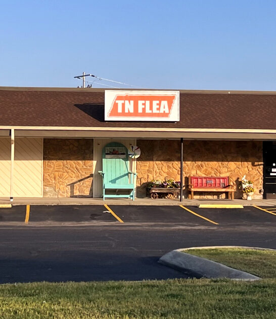 gigantic flea great deals ftr