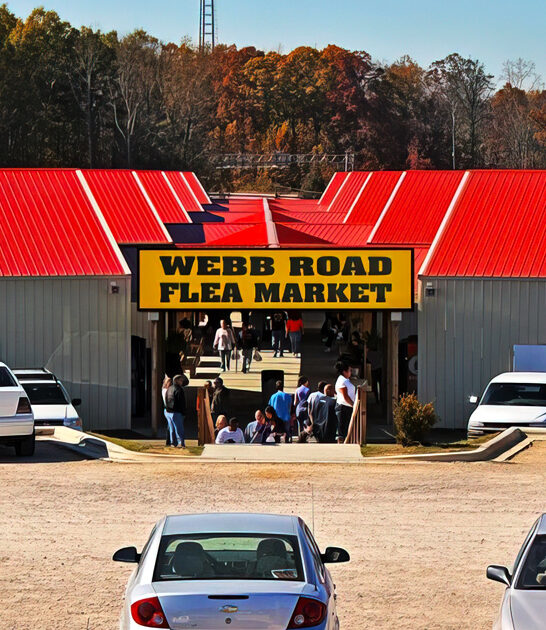 gigantic north carolina treasures ftr