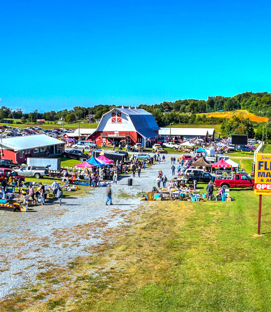 gigantic tennessee flea market FTR