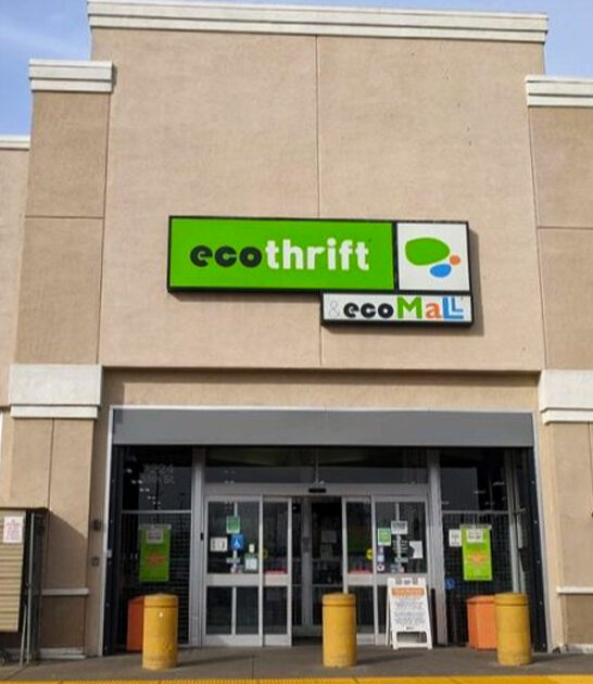 gigantic thrift destination california ftr