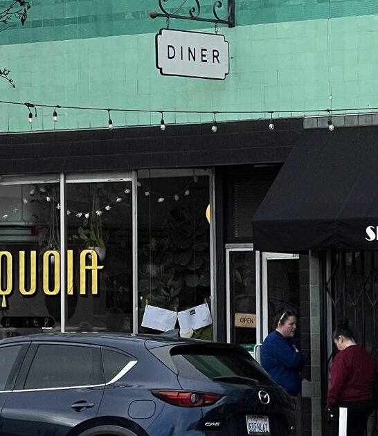 goat cheese omelet california ftr